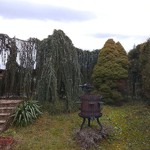 Maison à vendre - Roppe - 10 pièces - 7 chambres