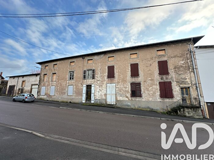 Maison à vendre - Darney - 10 pièces