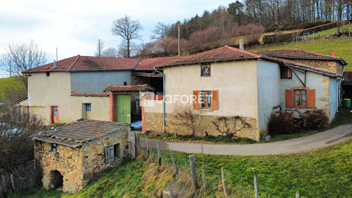 Maison à vendre - La Chapelle-sur-Coise - 3 pièces - 2 chambres