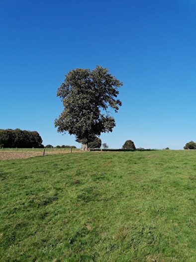 Maison à vendre - Ceaucé - 1 pièce