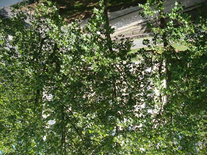 Appartement à louer - Paris e , Jardin de Reuilly - 1 pièce