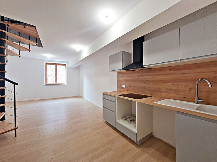 Saint-Symphorien-sur-Coise : Appartement 3 pièces à louer