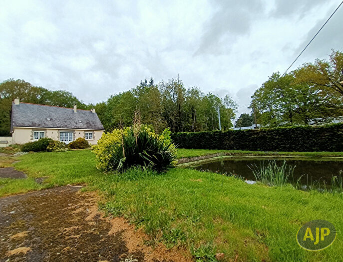 Maisons à vendre et appartements à louer - 1