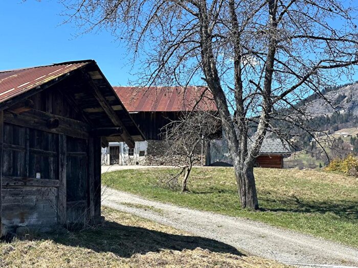 Praz-sur-Arly - Maison 15 pièces à vendre