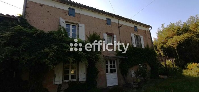 Maison 9 pièces à Mouzieys-Panens, à vendre
