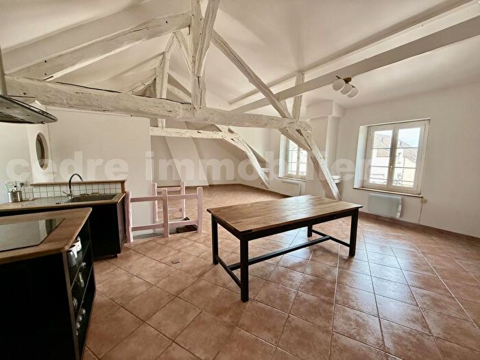 Appartement à vendre - Olivet, Centre-ville - 3 pièces - 2 chambres