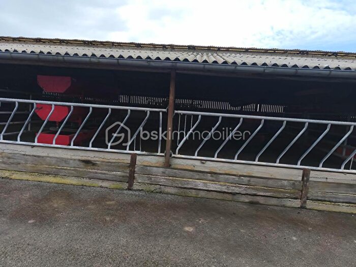 Maison à vendre - Champien - 1 pièce - 1 chambre