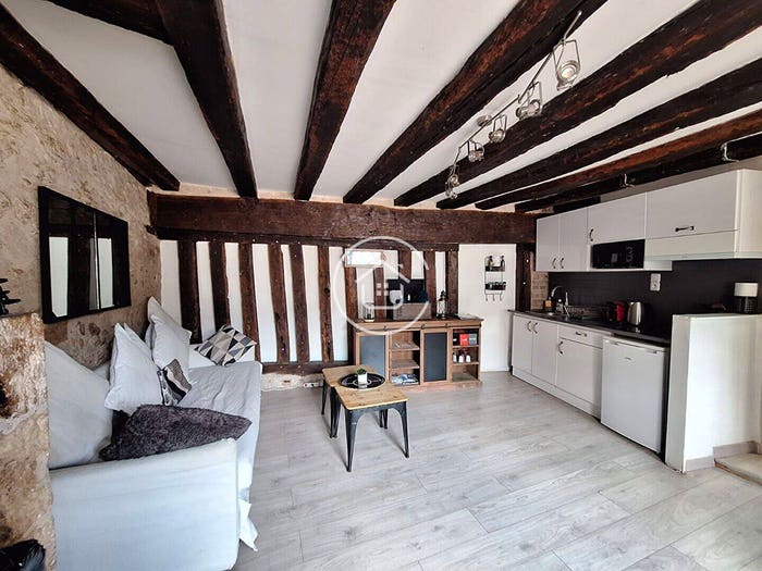 Vienne, Blois - Appartement 1 pièce à louer