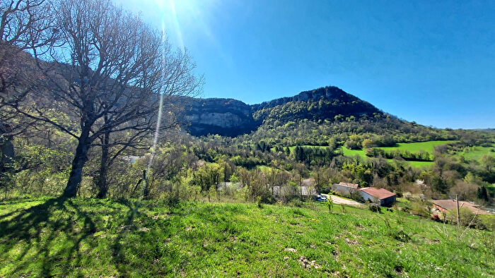 Maison à vendre - Saint-Jean-et-Saint-Paul - 10 pièces - 6 chambres