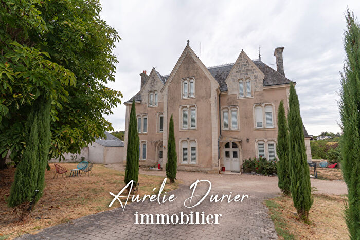 Cravant-les-Côteaux - Maison 15 pièces à vendre