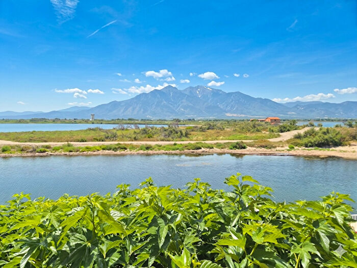 Appartement 1 pièce à Le Barcarès, Presqu'île, La Coudalère, à vendre