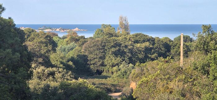 Appartement à vendre - Pietrosella - 2 pièces - 1 chambre