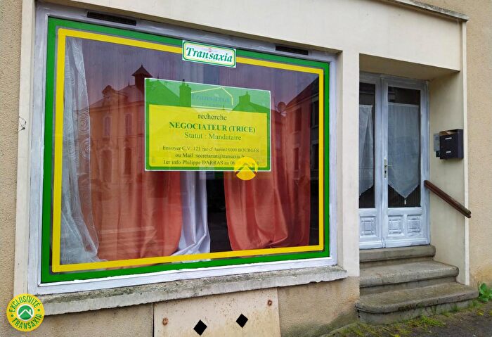 Maison à vendre - Saint-Denis-de-Jouhet - 4 pièces - 3 chambres