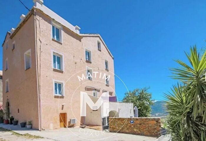 Maison 16 pièces à vendre - Santo-Pietro-di-Tenda