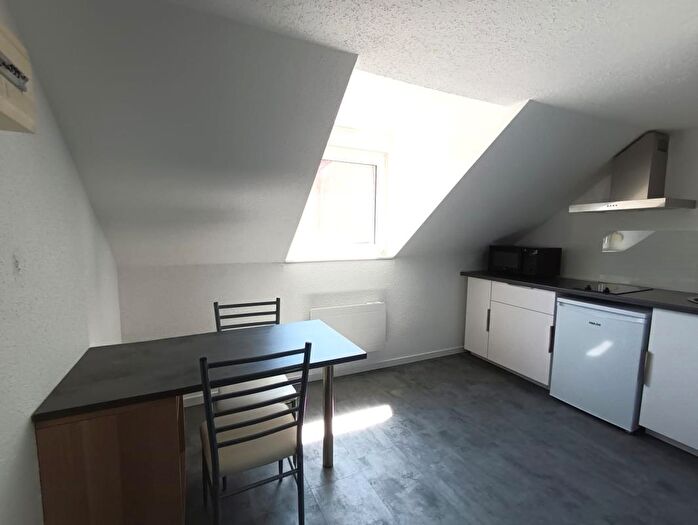 Belfort, La Pépinière - Appartement 1 pièce à louer