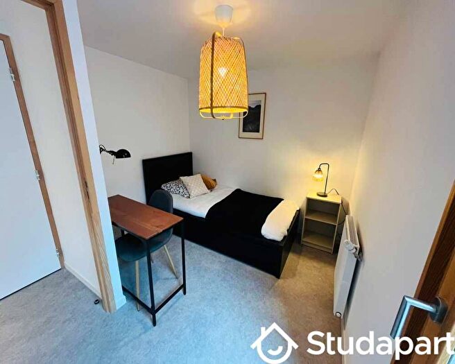 Appartement 1 pièce à Lyon, à louer