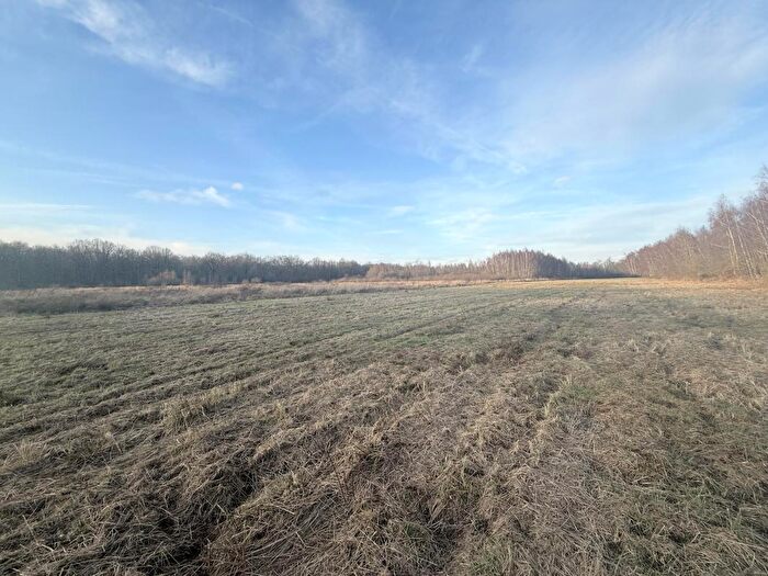 Maison à vendre - Les Écrennes - 12 pièces - 7 chambres
