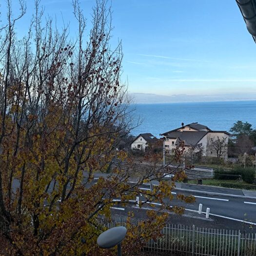 Appartement à vendre - Évian-les-Bains - 2 pièces - 1 chambre