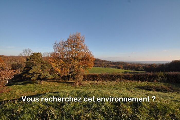 Maison à vendre - Moissieu-sur-Dolon - 4 pièces - 3 chambres