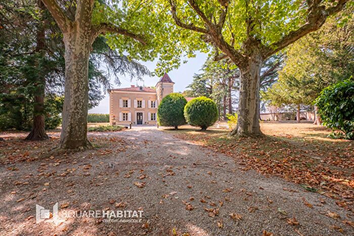 Maison à vendre - Lapeyrouse-Mornay - 11 pièces - 5 chambres