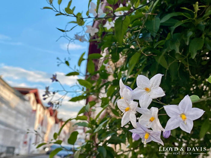 Maison à vendre - La Bastide-Clairence - 14 pièces - 9 chambres