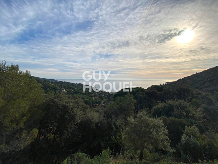 Maison à vendre - Ramatuelle - 9 pièces - 8 chambres