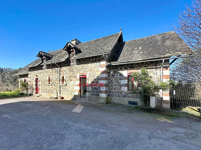 Maison à vendre - Saint-Bonnet-Avalouze - 6 pièces - 4 chambres