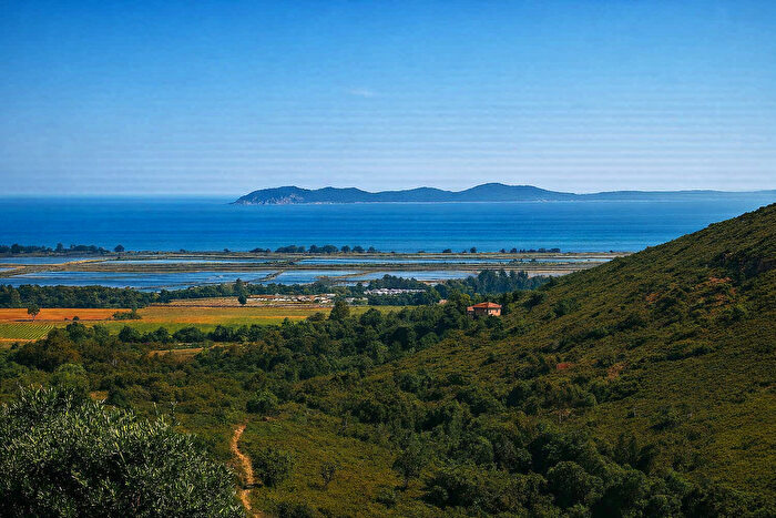 La Londe-les-Maures, Valcros, Alicastre, Haut Pansard, Bas Pansard, Le Pin - Maison 6 pièces à vendre