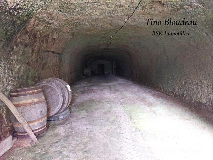 Maison à vendre - La Croix-en-Touraine - 1 pièce