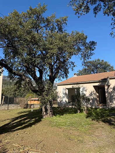 Maison à vendre - Borgo - 3 pièces - 1 chambre