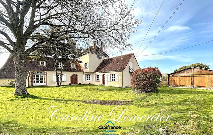 Maison à vendre - Dollon - 9 pièces - 6 chambres