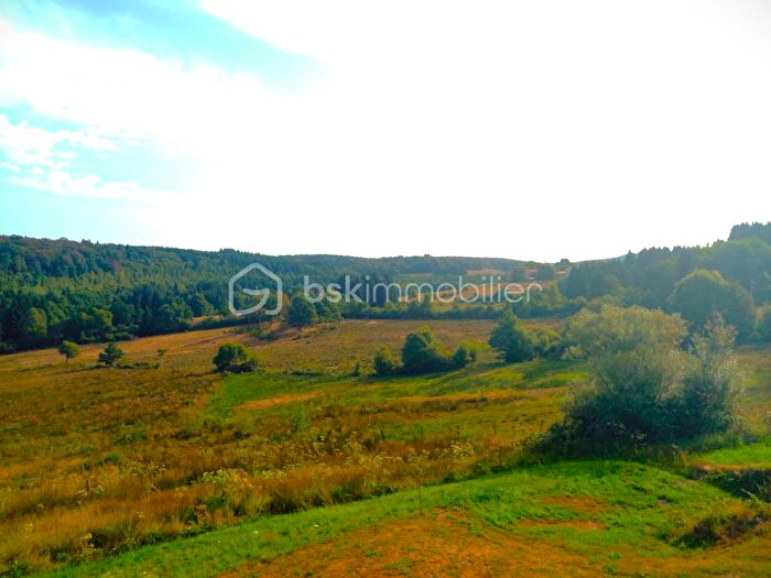 Maison 10 pièces à vendre à Le Val-d'Ajol