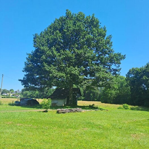 Maison à vendre - Asson - 7 pièces - 3 chambres