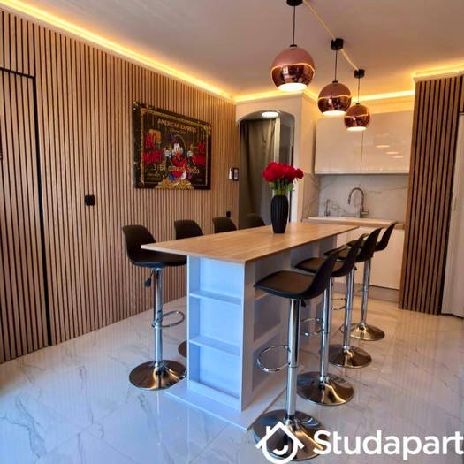 Appartement 1 pièce à louer à Pagane, Antibes