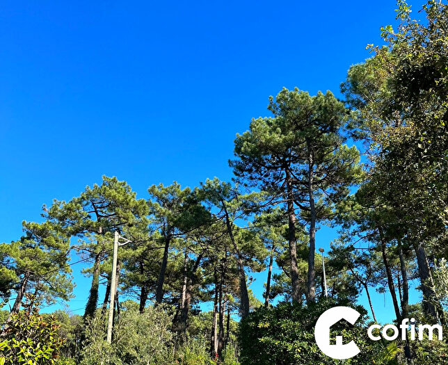 Maison à vendre - Anglet - 4 pièces - 3 chambres