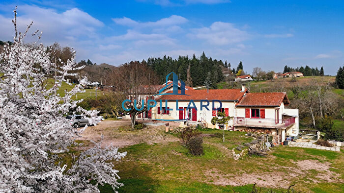 Maison à vendre - Saint-Haon-le-Vieux - 7 pièces - 4 chambres