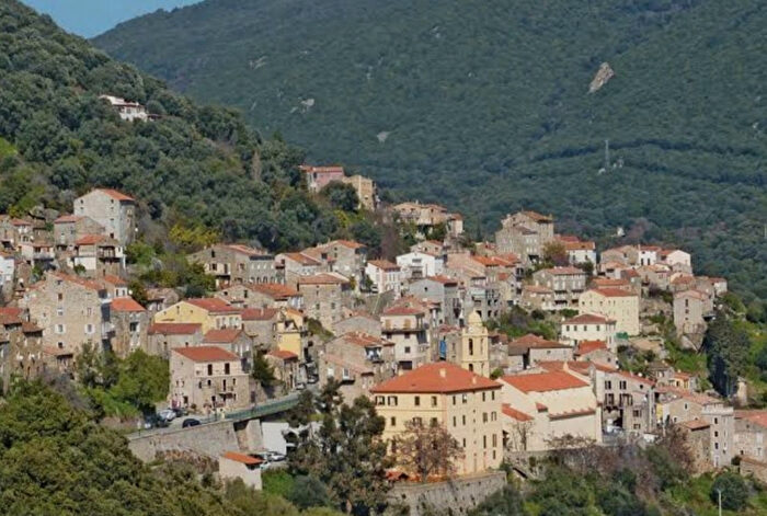 Appartement à vendre - Olmeto - 1 pièce