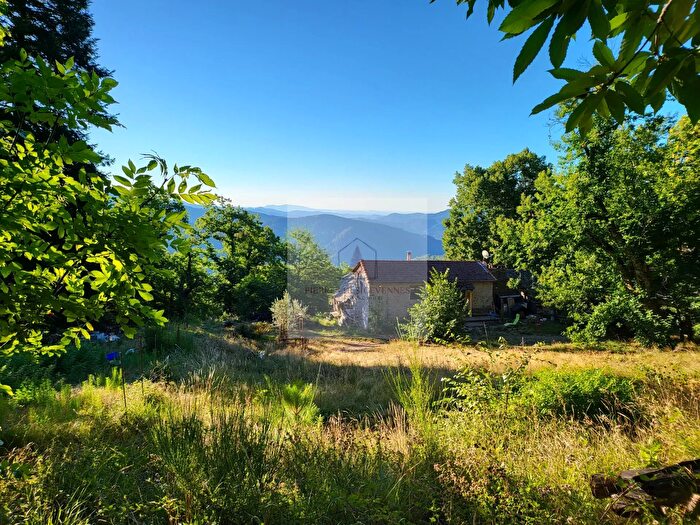 Maison à vendre - Le Collet-de-Dèze - 6 pièces - 4 chambres