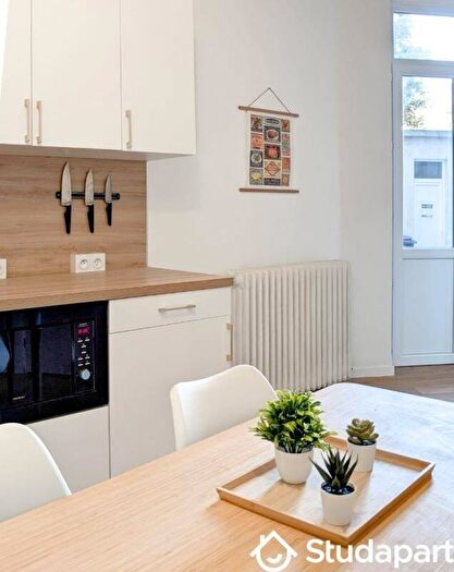 Ile Verte, Grenoble : Appartement 1 pièce à louer