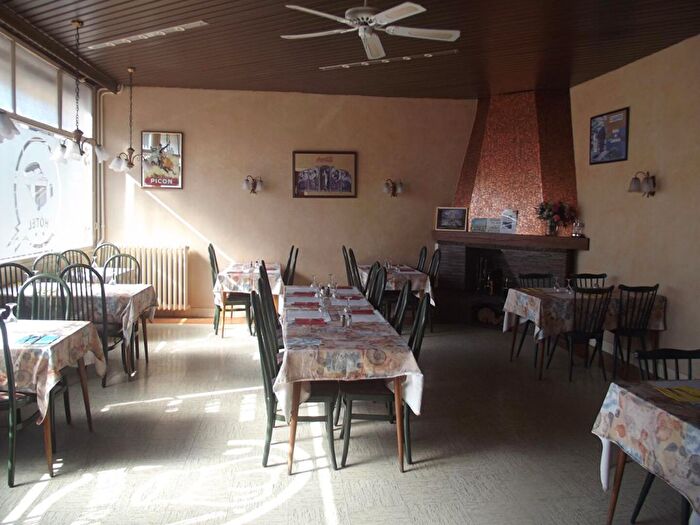 Brienne-le-Château - Maison 20 pièces à vendre