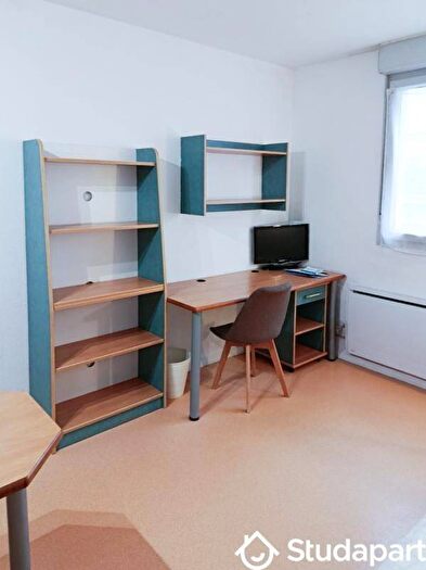 Appartement à louer - Colline des Pères-Tardy, Saint-Étienne - 1 pièce