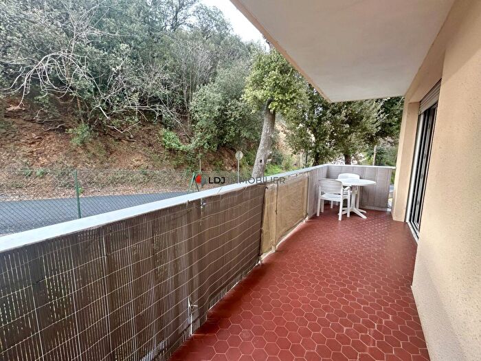 Appartement à louer - Amélie-les-Bains-Palalda - 1 pièce