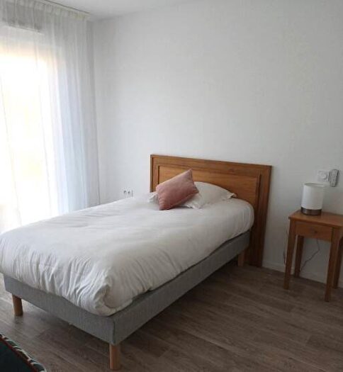 Appartement à louer - Stanislas-Meurthe, Nancy - 1 pièce