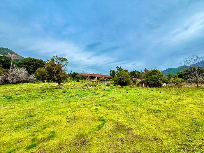 Maison à vendre - Vico - 8 pièces - 6 chambres