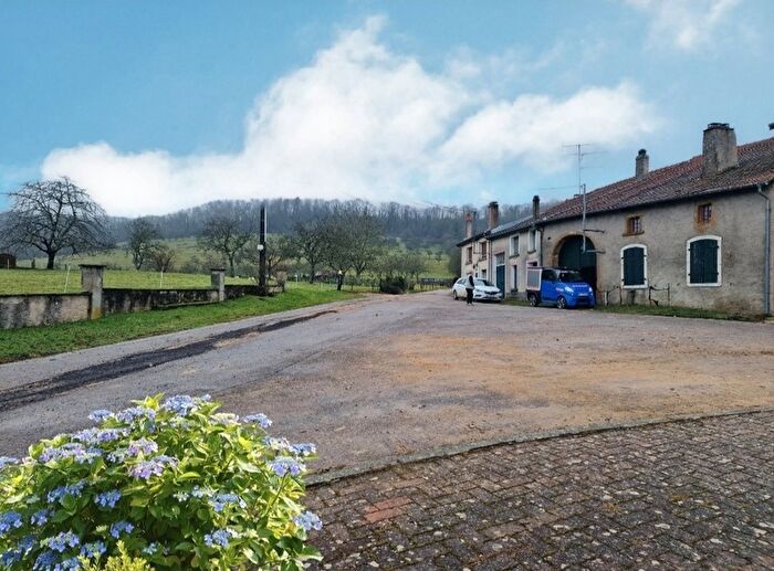 Maison à vendre - Grimonviller - 10 pièces - 6 chambres
