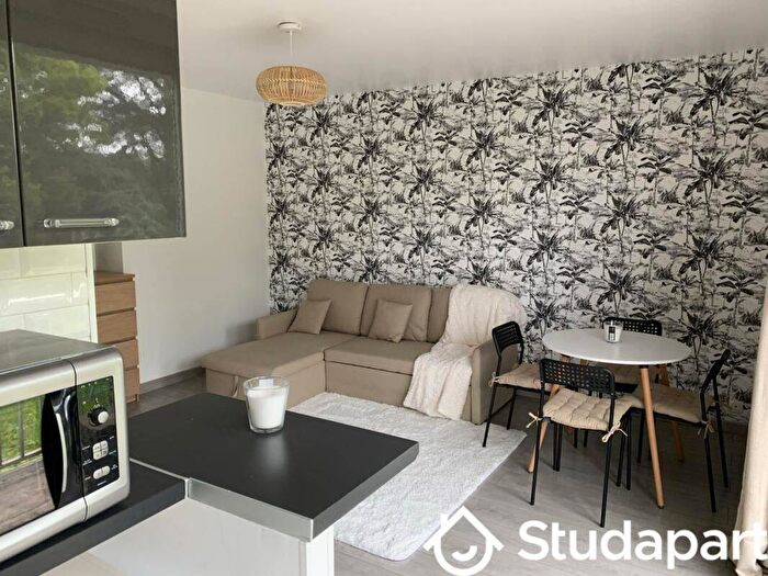 Le Mainguy-Le Moulin à Vent, Bondy : Appartement 1 pièce à louer