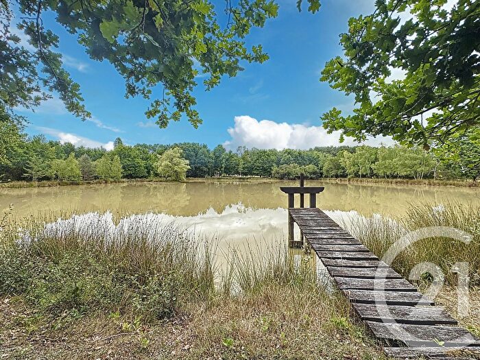 Maison à vendre - La Ferté-Saint-Aubin - 7 pièces - 5 chambres