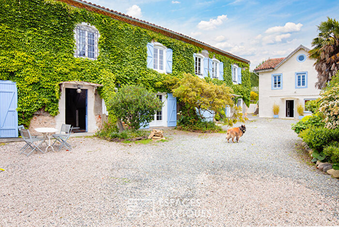 Maison à vendre - Villeneuve-de-Rivière - 12 pièces - 7 chambres