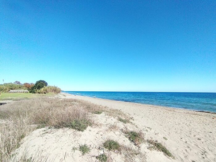 Appartement à vendre - Poggio-Mezzana - 2 pièces - 1 chambre