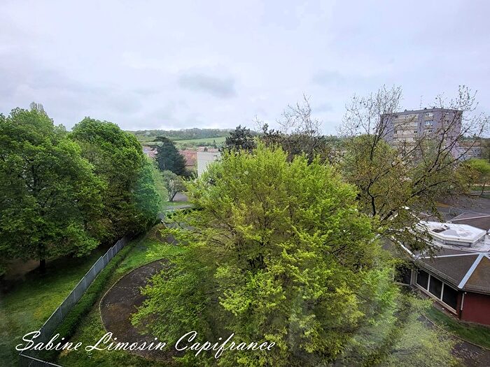 Appartement à vendre - Belfort, Les Glacis du Château - 4 pièces - 3 chambres